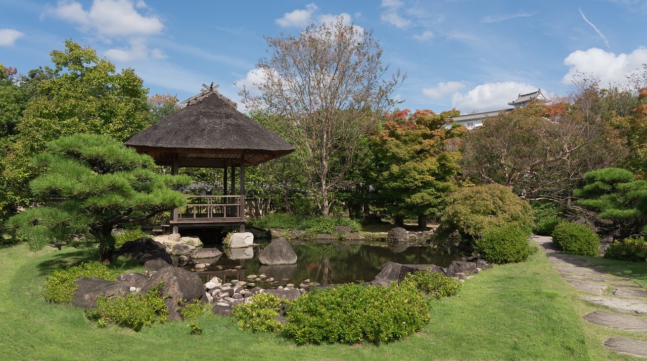 Ejemplos de Palabras con IA: Lista Completa y Usos Comunes - IA para ...